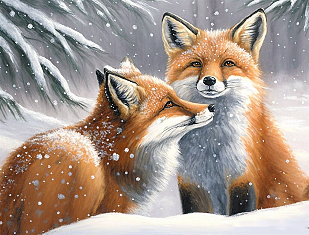 Fox Paint By Numbers — Artnumbers.co.uk